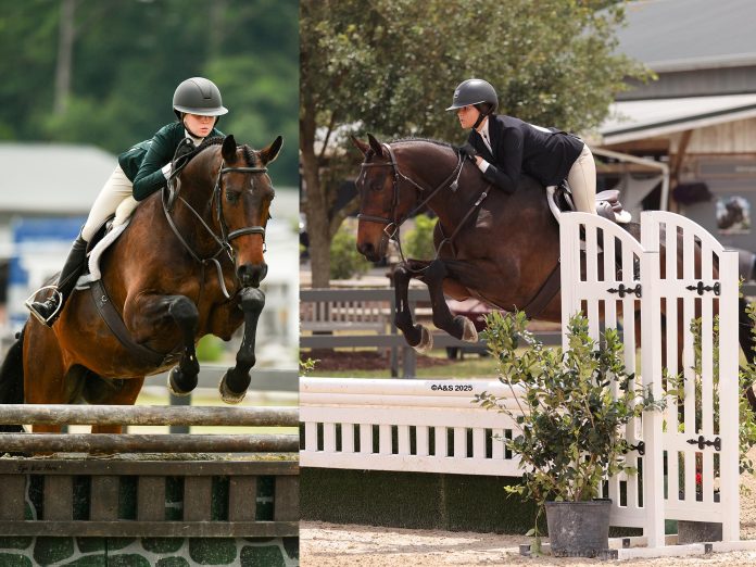 Sharing is Caring: How Two Sisters Share One Great Horse - The Plaid ...
