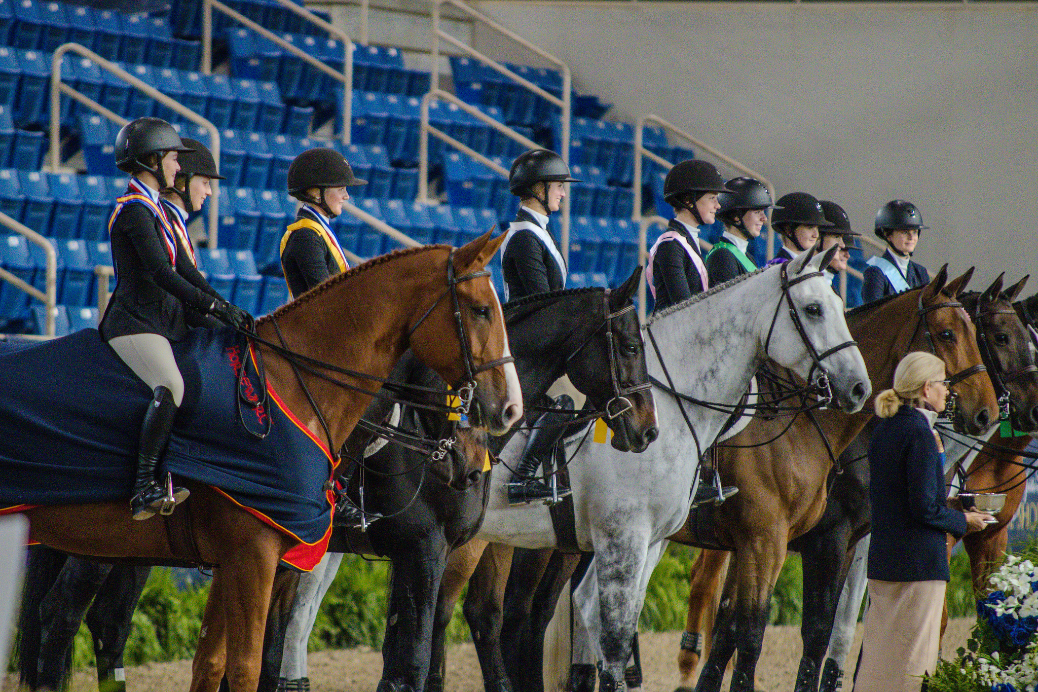 The State of Collegiate Equestrian - The Plaid Horse Magazine