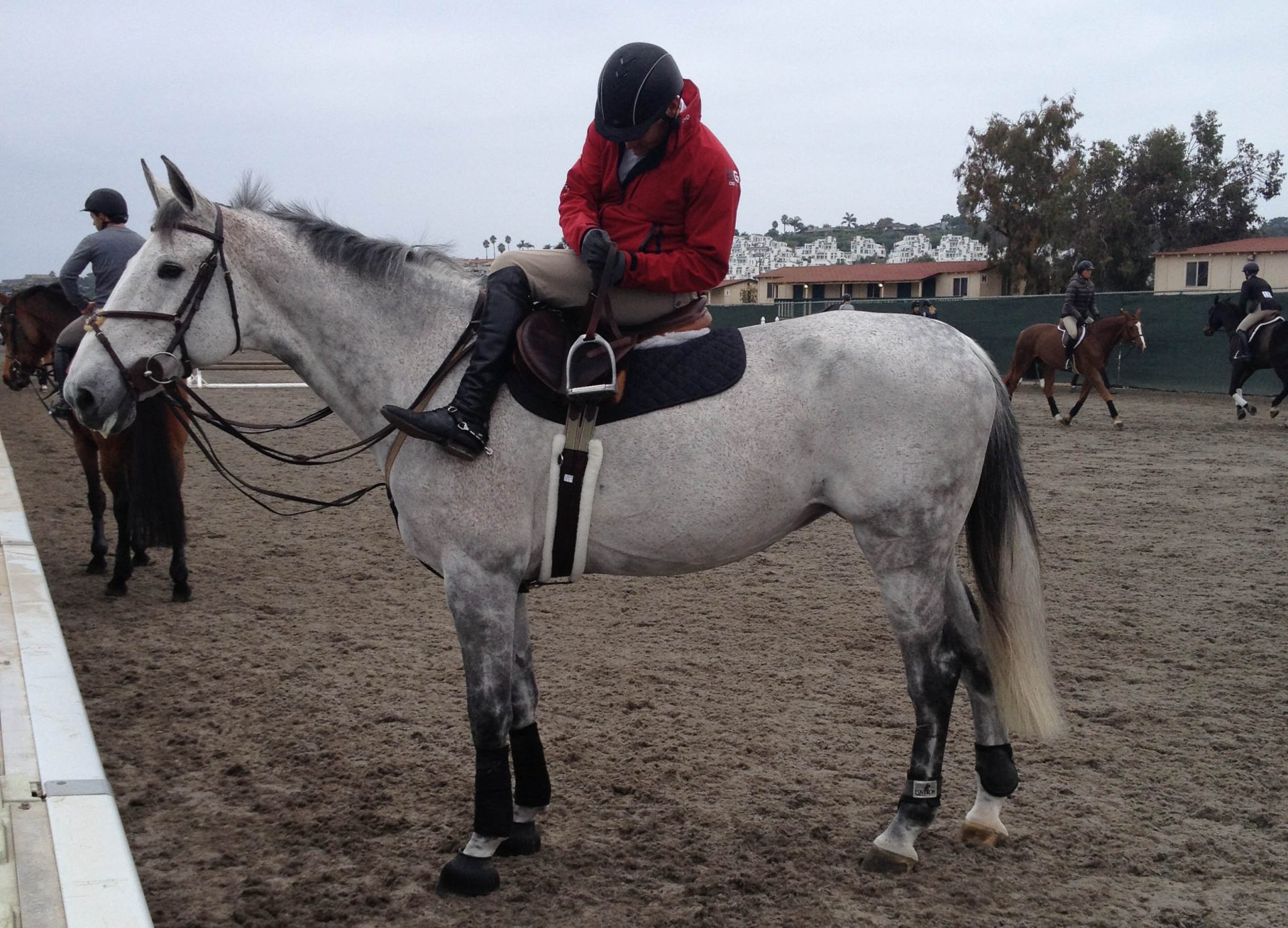 Good Habits Will Keep You Safer at the Barn - The Plaid Horse Magazine