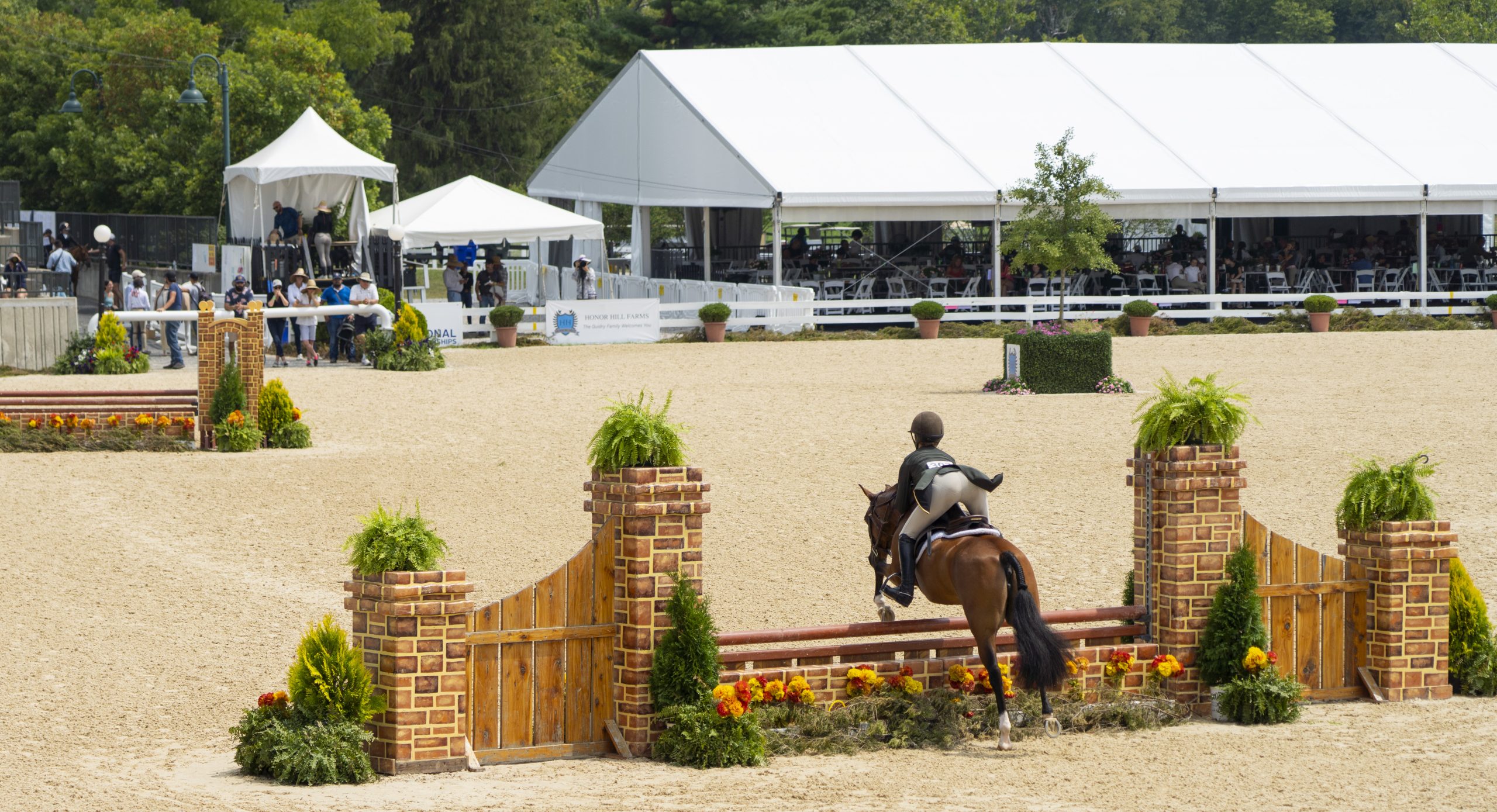 USEF Suspends New Hunter and Hunter/Jumping Seat Judging Applications ...