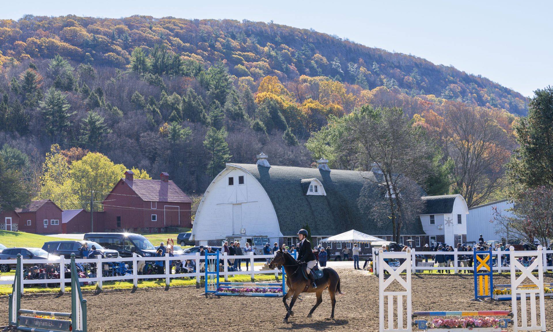It's Important to Give Your Horse (and Yourself) Grace - The Plaid ...