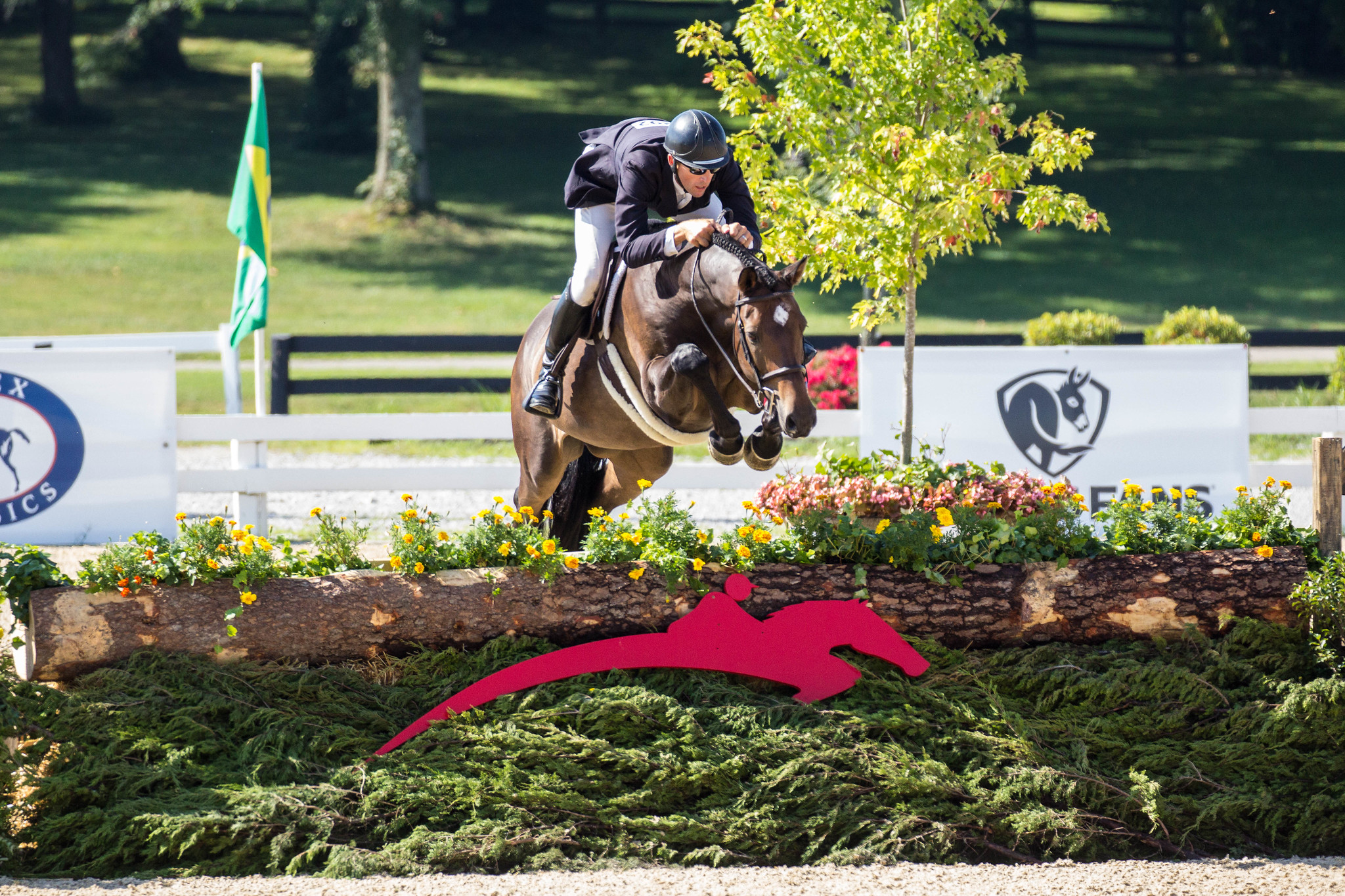 What Makes a Hunter “Easy to Ride” in the Judge’s Eye - The Plaid Horse ...