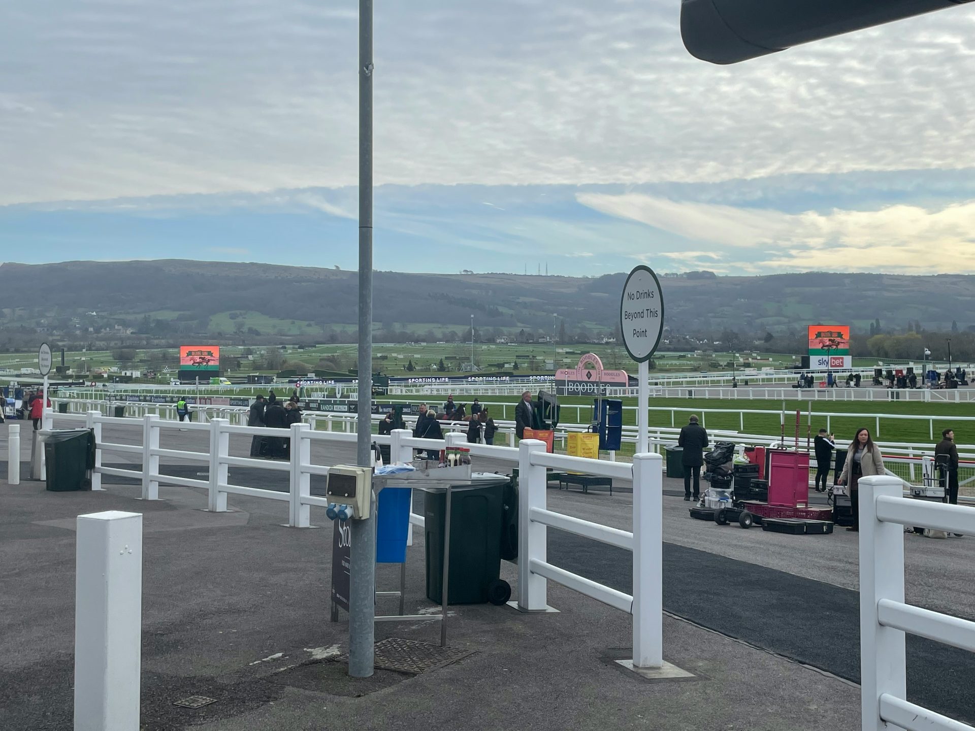 Ranking the Favorites to Win the 2026 Cheltenham Gold Cup - The Plaid ...