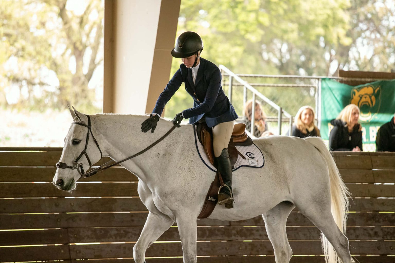 What the Loss of UC Davis’s NCEA Division I Equestrian Team Means for ...