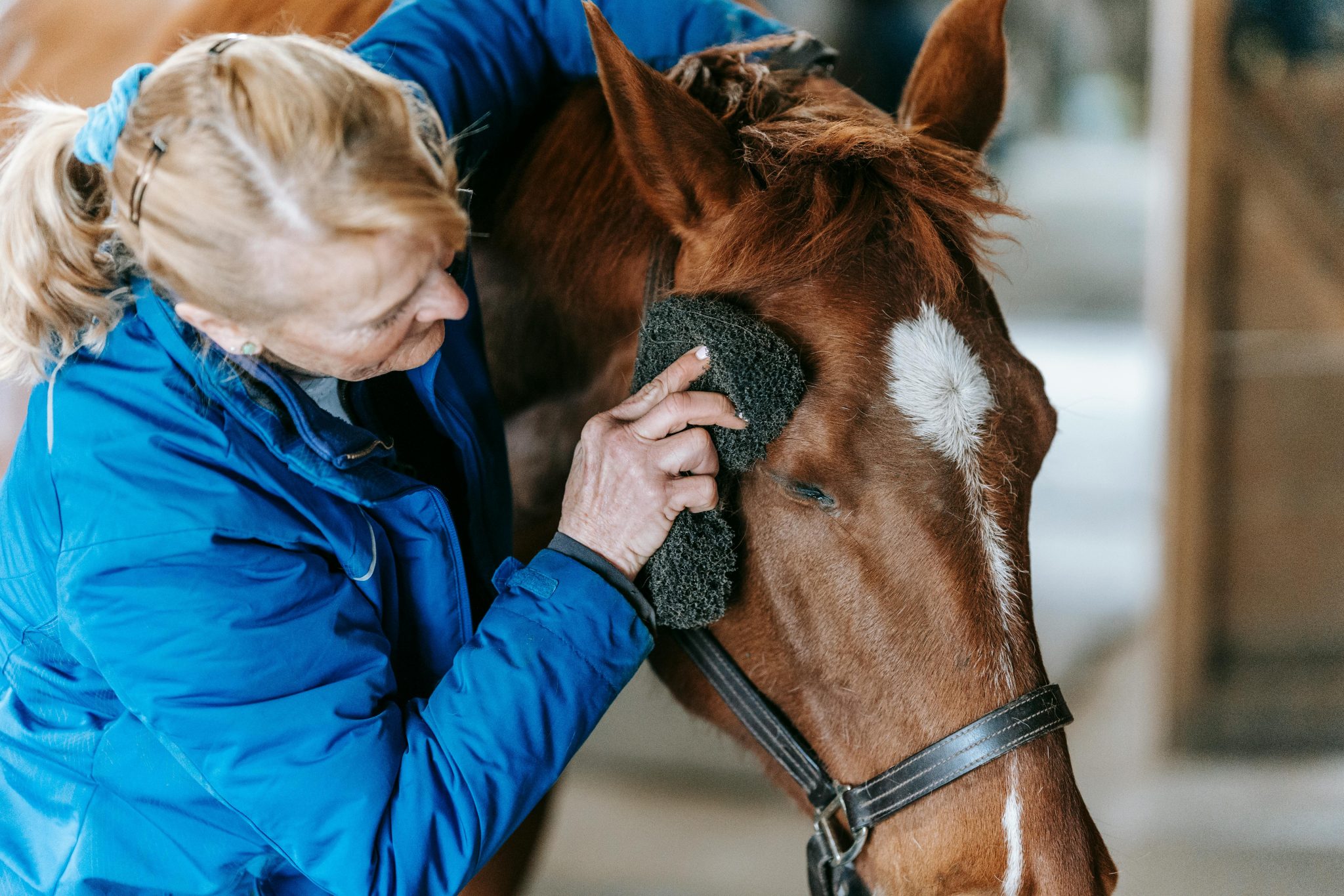 How Much Do Equestrian Professionals Really Make? A Salary Guide from ...