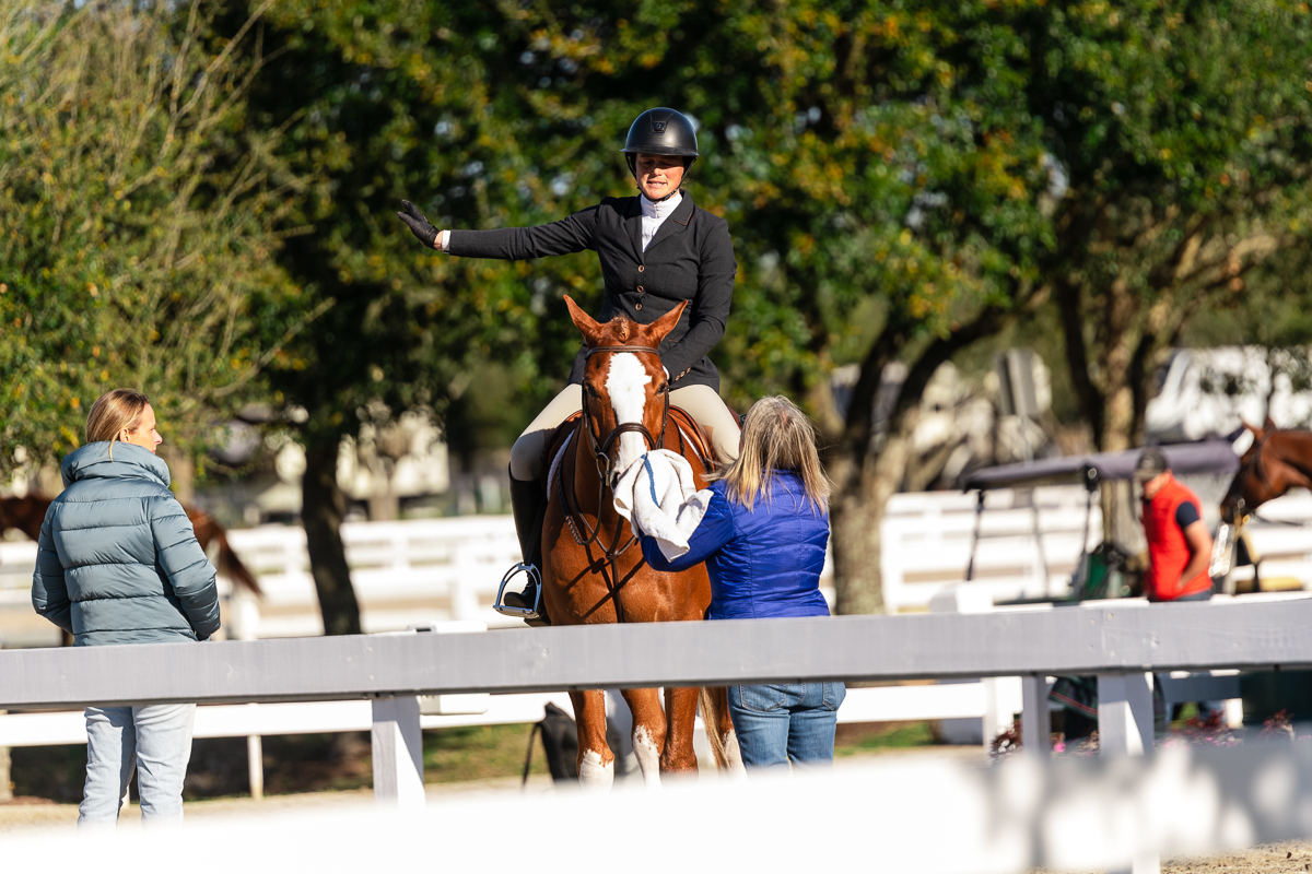 Stewarding as Education: What the Role Is Really Meant to Do - The ...