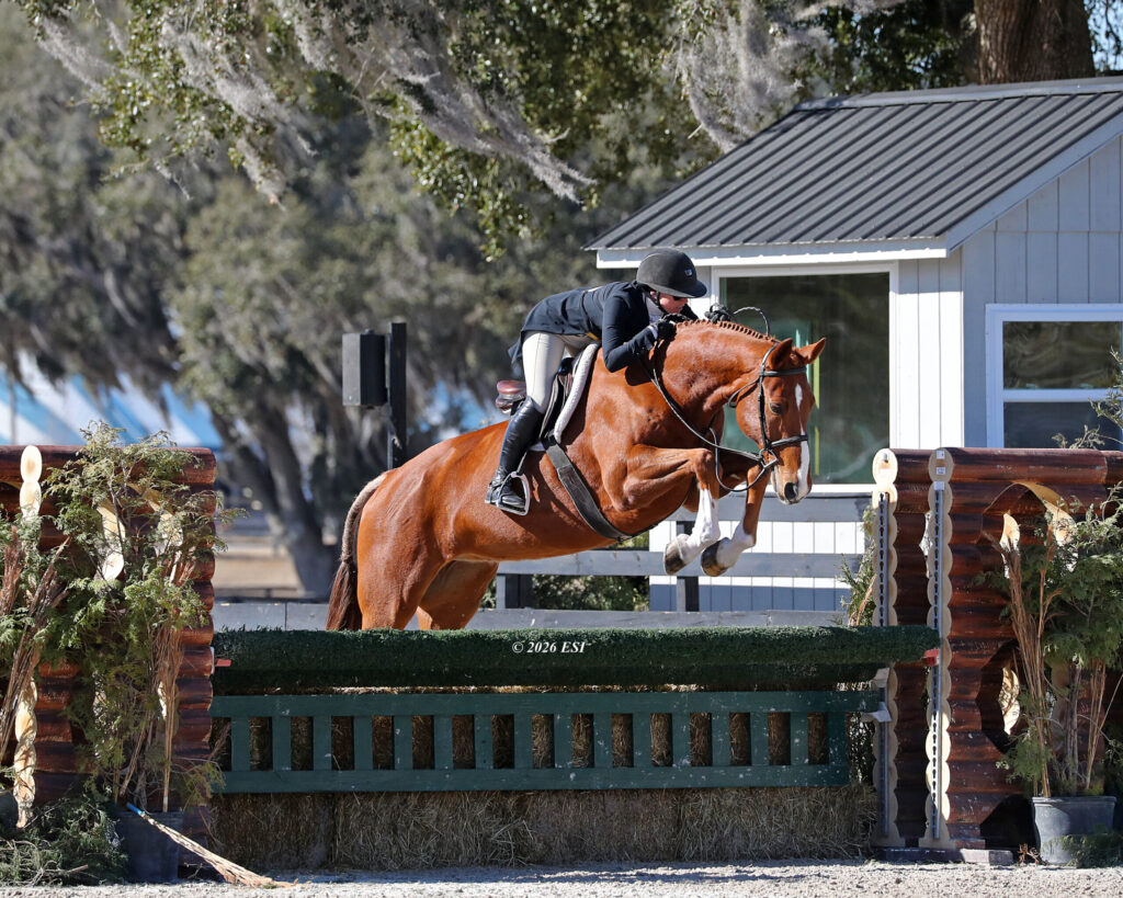 David Wilbur and Four Aces Hold All the Cards in the $25,000 USHJA ...
