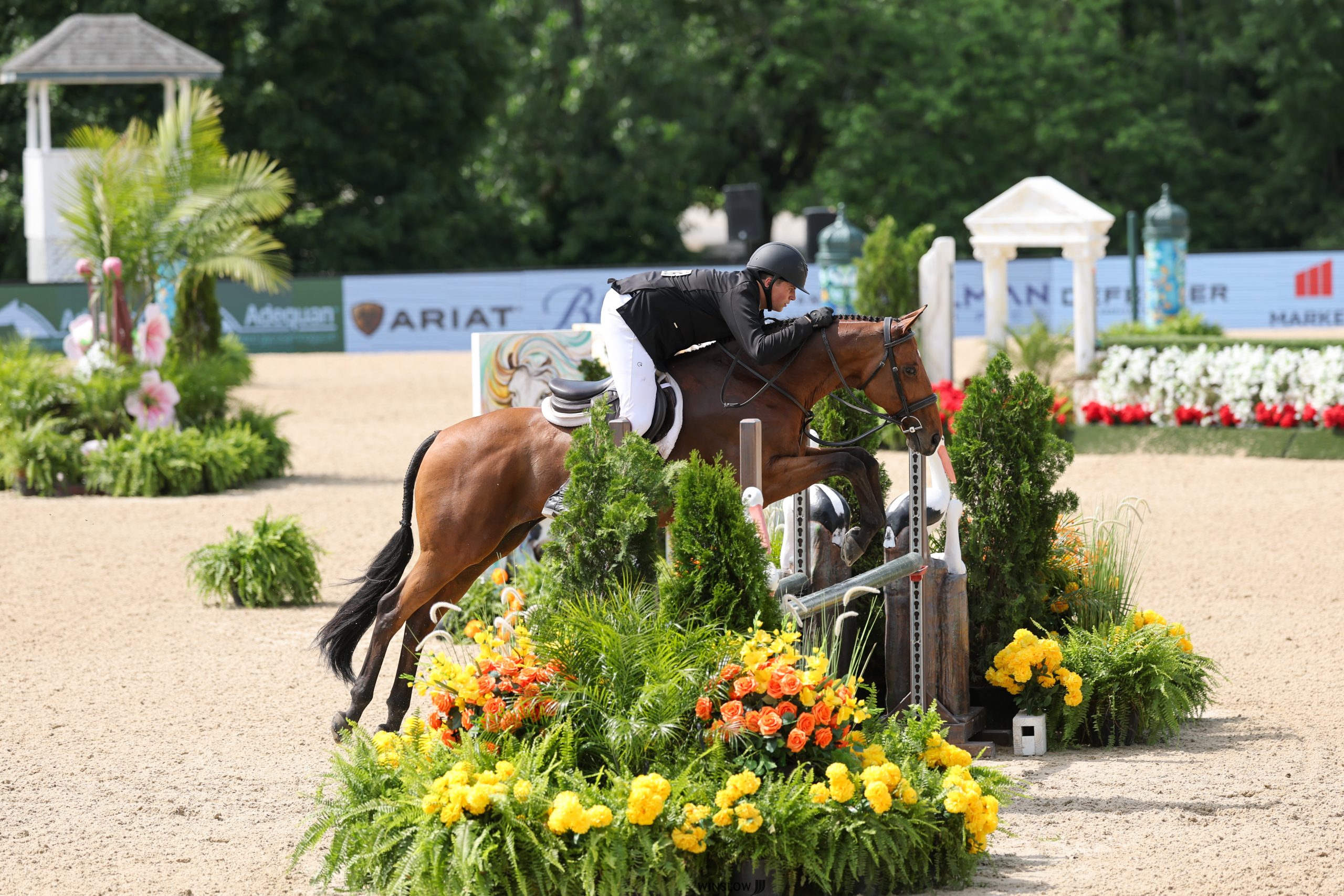 Trusting the Ride: Winning Thoroughbred Hunter Horse of the Year with ...