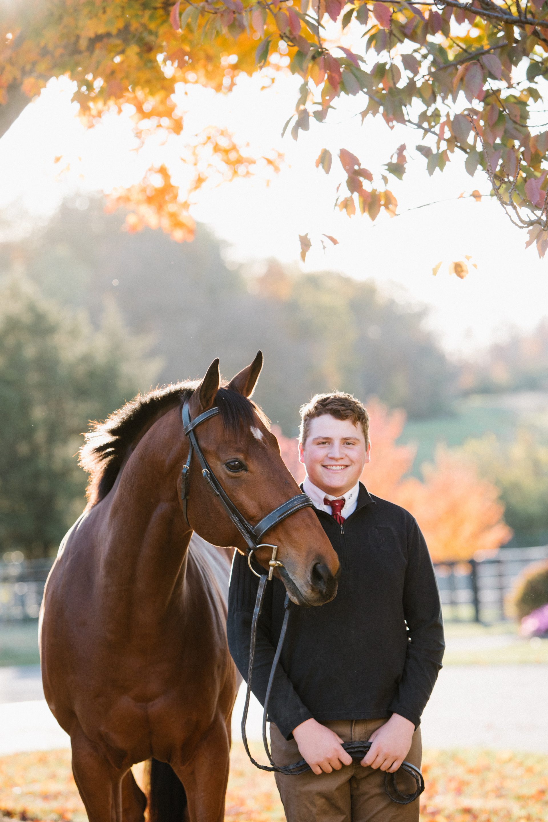 Trusting the Ride: Winning Thoroughbred Hunter Horse of the Year with ...