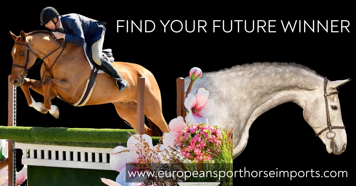 The Economics of Horse Racing - The Plaid Horse Magazine