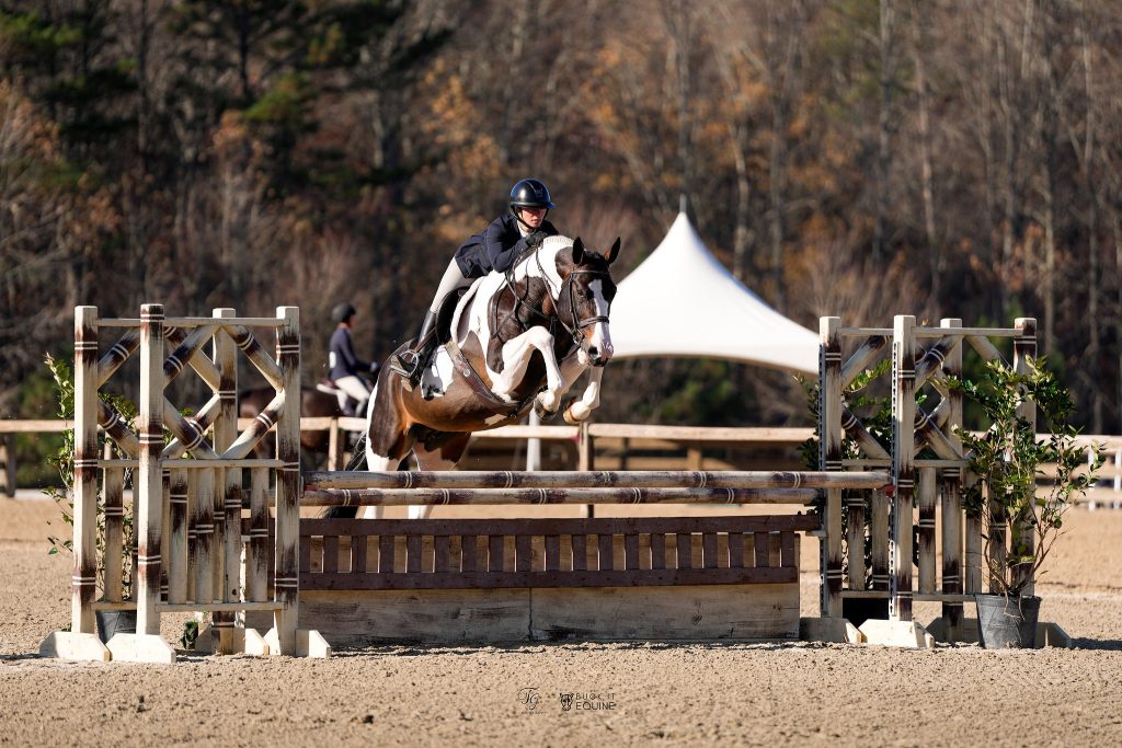 Grimoire D’Elphen Sets the Standard - The Plaid Horse Magazine