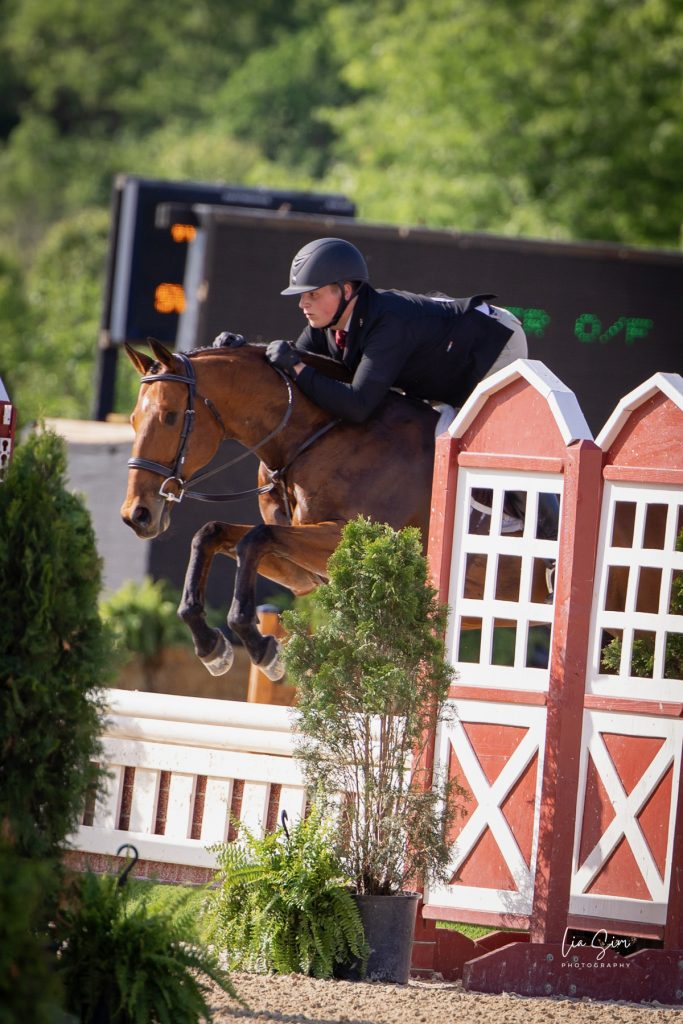 Trusting the Ride: Winning Thoroughbred Hunter Horse of the Year with ...