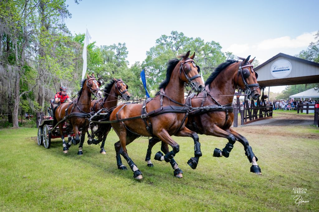 The USEF Combined Driving National Championship for Advanced Four in ...