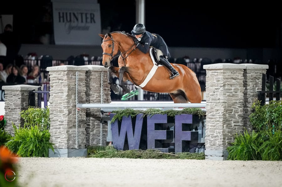 Colvin and DicoBlue PS Conquers $150,000 USHJA World Championship ...