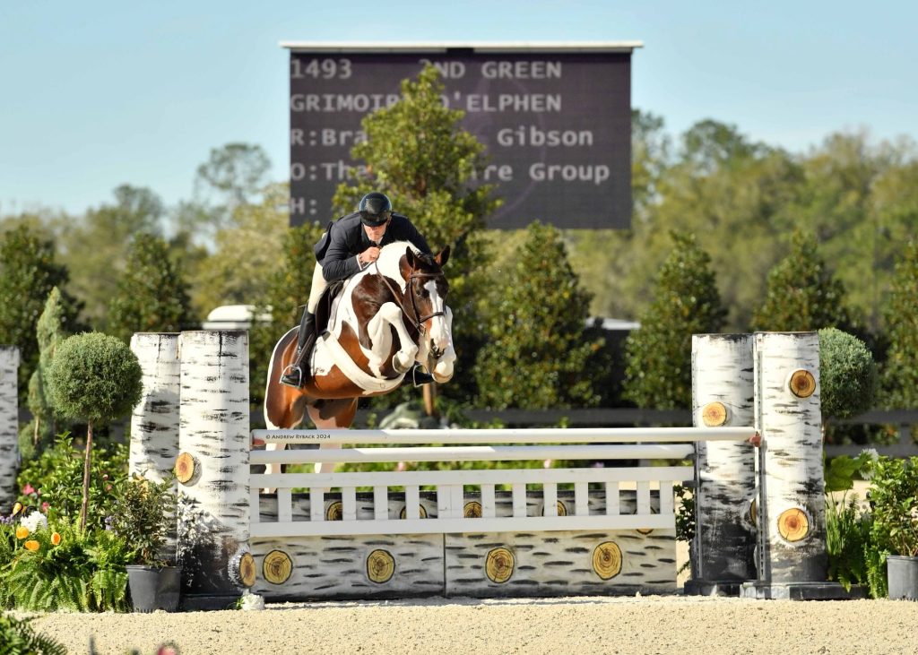 Grimoire D’Elphen Sets the Standard - The Plaid Horse Magazine