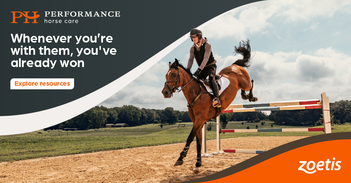 How to Start Your Horse Business the Right Way - The Plaid Horse Magazine