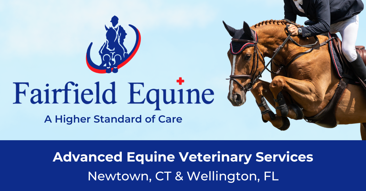 The Plaid Horse $10,000 Equestrian Voices Creative Writing Contest ...