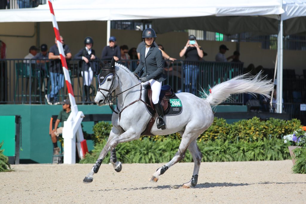 Gallop More, Plod Less: Conditioning Horses Like Athletes - The Plaid ...