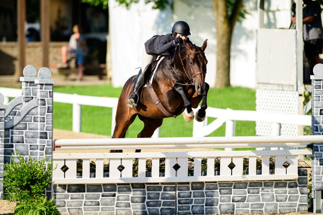 What's Allowed in the Hunter Ring: A Guide to USEF-Permitted Tack and ...
