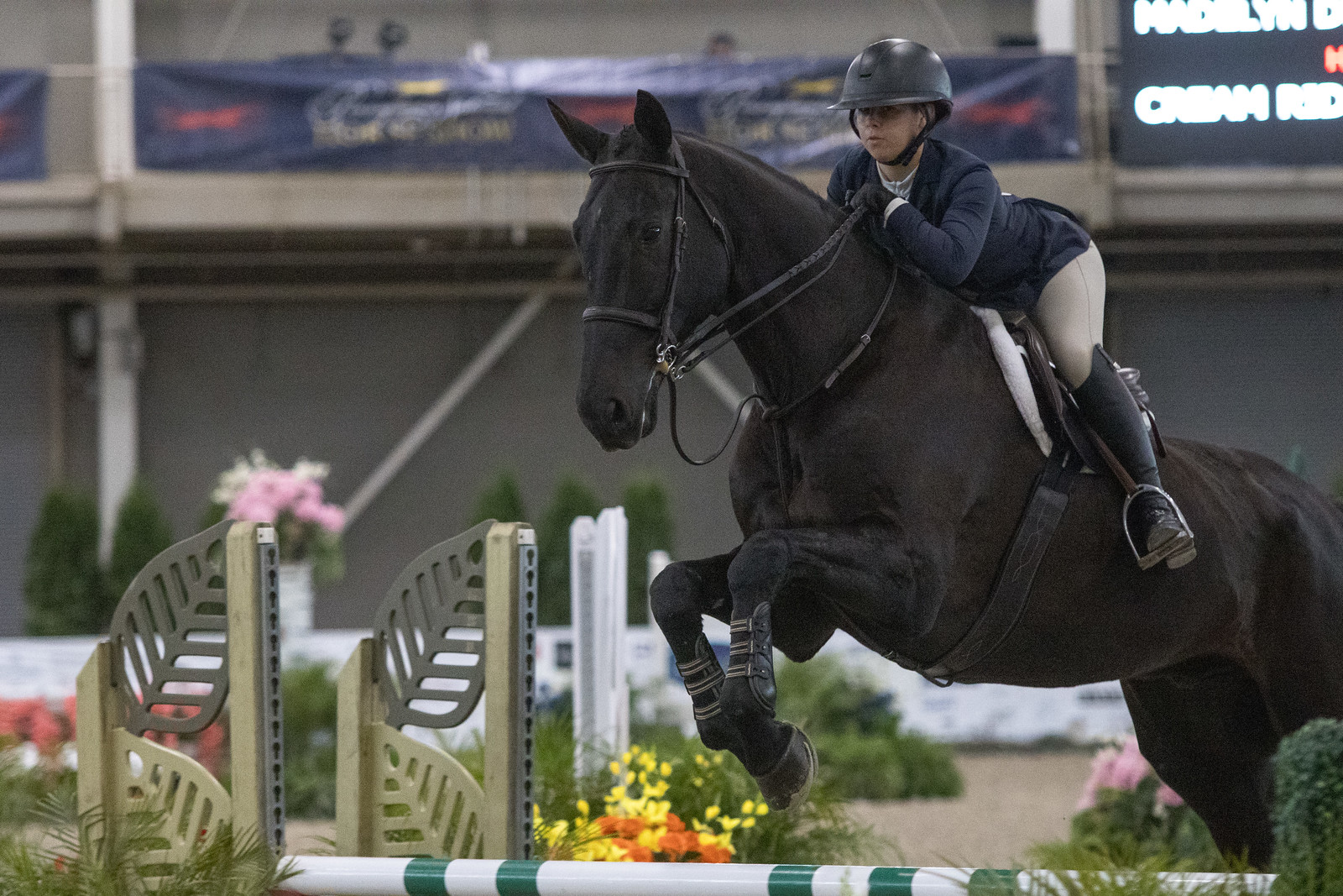 Room for Every Rider: Why Collegiate Equestrian Needs Every Format ...