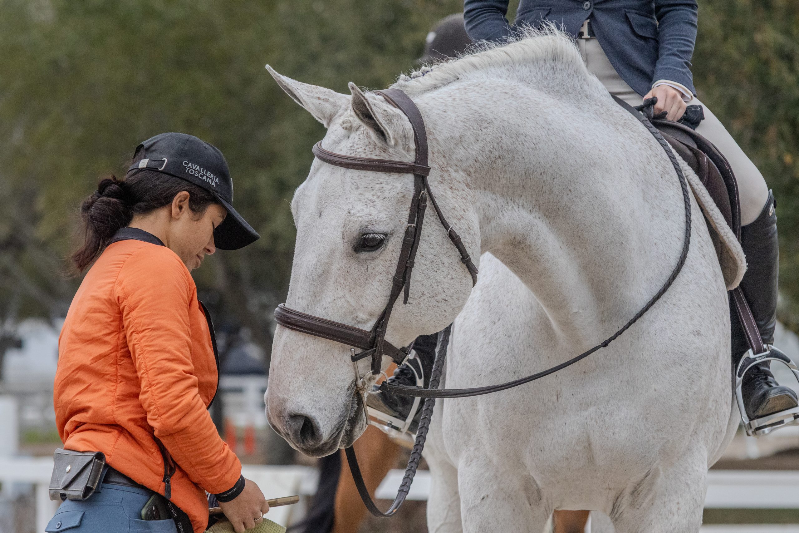 Keep it Simple: the Most Overlooked Truth in Training - The Plaid Horse ...