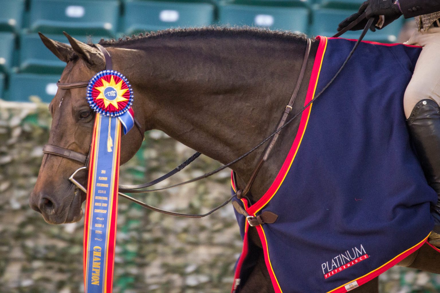Platinum Performance Returns as Title Sponsor of USHJA Green Hunter ...