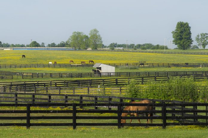 USEF CEO Bill Moroney is Set to Retire by the End of 2026 - The Plaid ...
