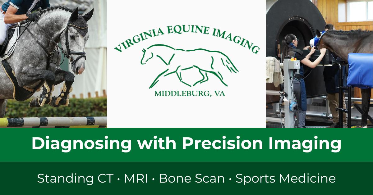 What’s New with the Horse Protection Act: Key Findings from the ...