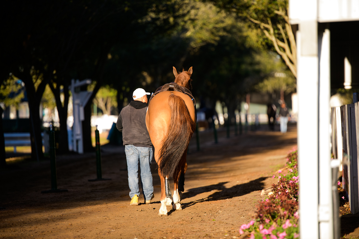 The People Keeping Your Horses Alive Deserve Better - The Plaid Horse ...