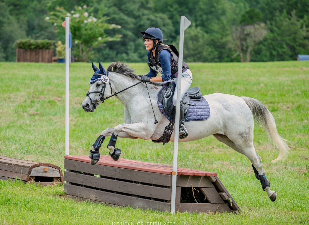 An Ordinary Horse - The Plaid Horse Magazine
