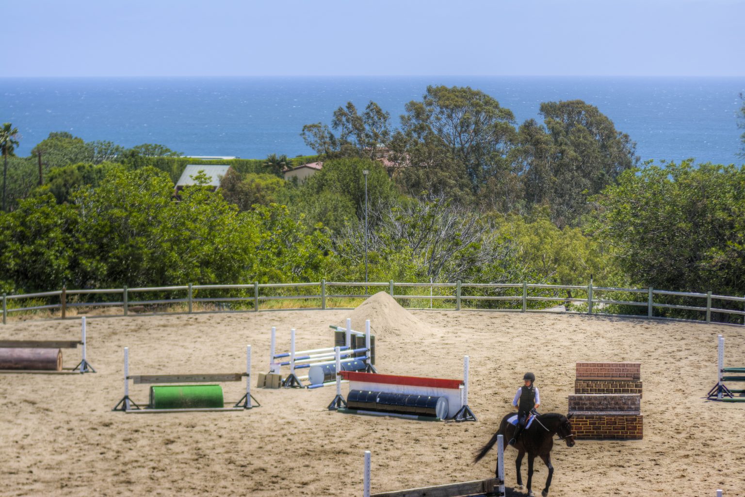 Trainer Tuesday: Do You Use Lunging as a Training Tool In Your Program ...