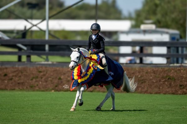 Winchell and Heavenly Patch of Blue Take Top Honors in USHJA Pony ...