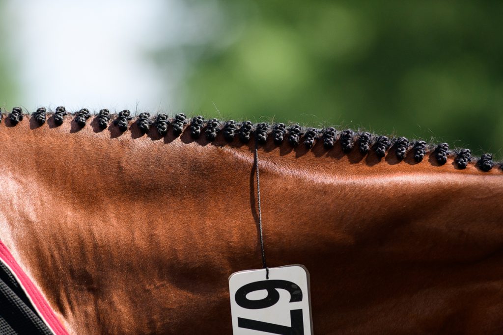 Curiosity Is the Antidote to Cynicism - The Plaid Horse Magazine